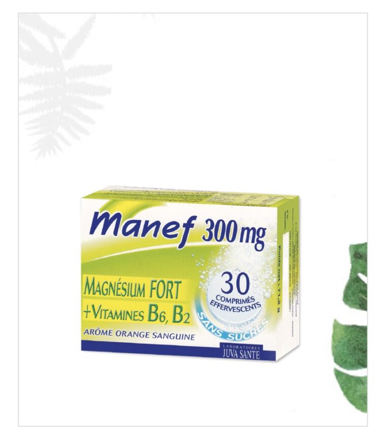 MANEF – Promoser Maroc